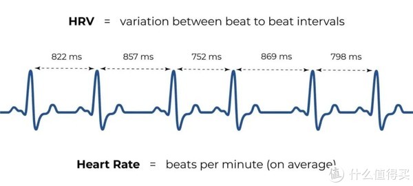HRV数值多少算正常？
