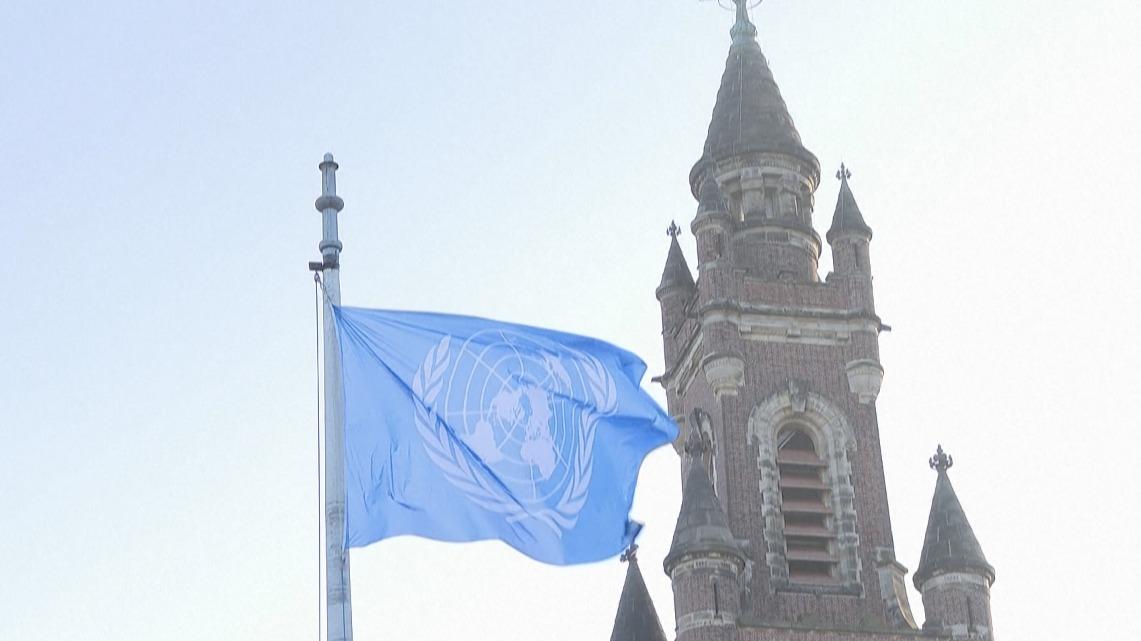 南非向国际法院起诉以色列在加沙犯下种族灭绝罪 手机新浪网