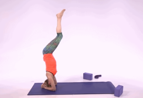 头倒立、手肘倒立、手倒立， 看这一篇就够了！（动图教程合集）|头倒立|瑜伽_新浪新闻