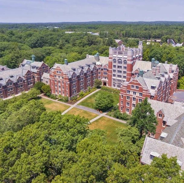 NYU公布免学费新政策，ED申请数量达到历史最高！|NYU|助学金_新浪新闻