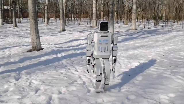 一款叫 Xiao Xing 的国产人形机器人，据说公司在北京|机器人_新浪新闻