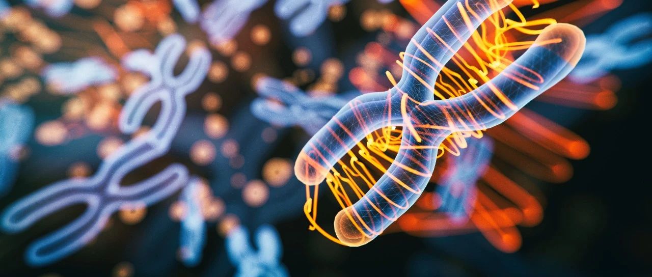 《自然》：出人意料！科学家首次发现，DNA感知修复系统竟串联防御杀伤系统，救不过来就杀死有癌变倾向的细胞丨科学大发现|DNA|肿瘤_新浪新闻