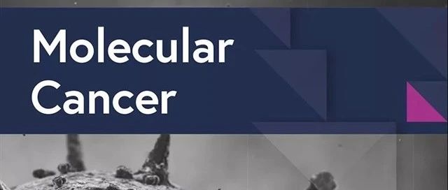 37.3分Molecular Cancer为BMC出版社风险最高期刊|地球_新浪新闻