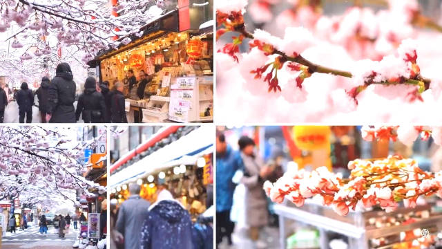 OpenAI的员工Bill Peebles发布了一段Sora生成的新视频……_新浪新闻