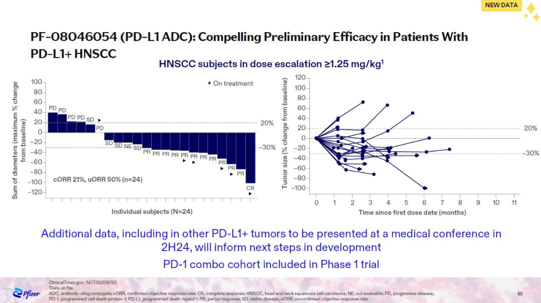 8款以上潜在重磅疗法！辉瑞肿瘤学研发管线聚焦3大治疗模式（附PDF下载）|辉瑞_新浪财经_新浪网