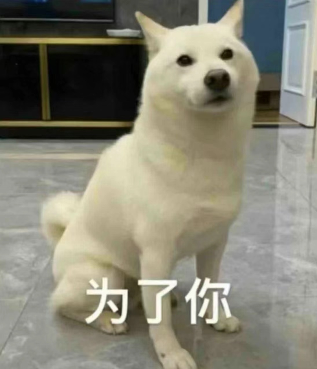 表情包又更新了，礼貌拿图 为了你，我变成狼人模样 为了你……|狼人_新浪新闻