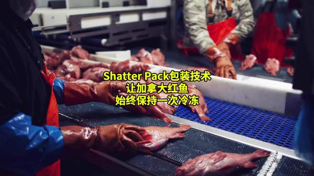 Shatter Pack技术是一种新颖的加工和包装技术…|加拿大|鱼类_新浪新闻