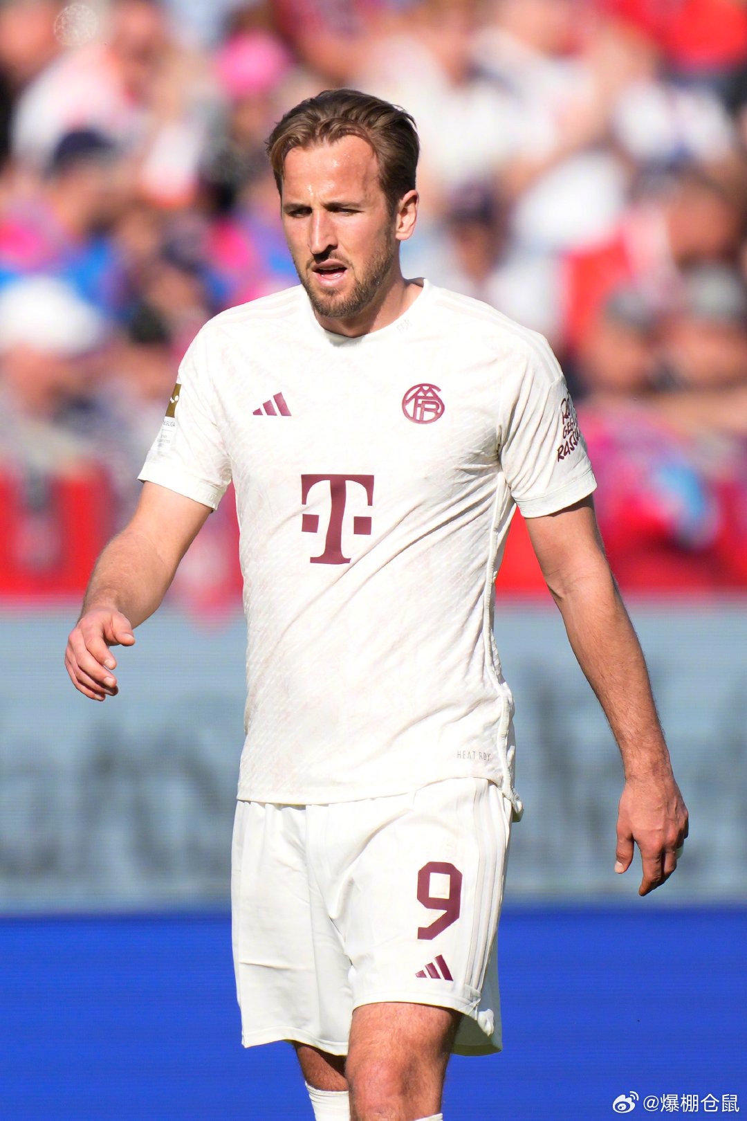 凯恩：我苦啊！|哈里·凯恩|拜仁_新浪新闻