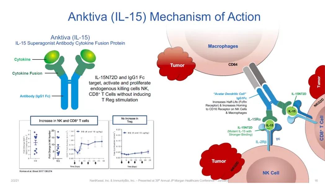 潜在重磅！62%癌症完全缓解率，FDA批准突破性疗法|癌症_新浪财经_新浪网