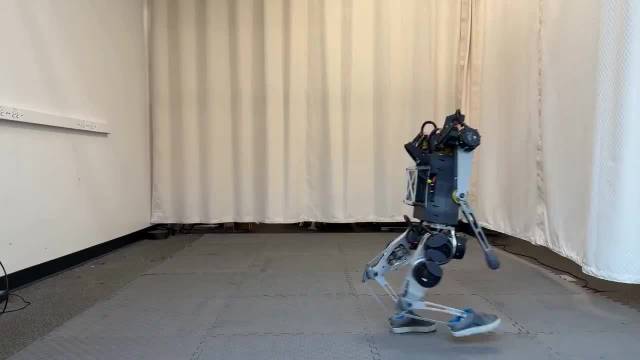 一款叫 HECTOR V2 的人形机器人，终于人形都进入AI训练的阶段了|机器人|AI_新浪新闻