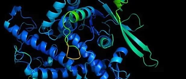 AlphaFold3来了，模拟、预测生命的能力更强了|核酸_新浪新闻