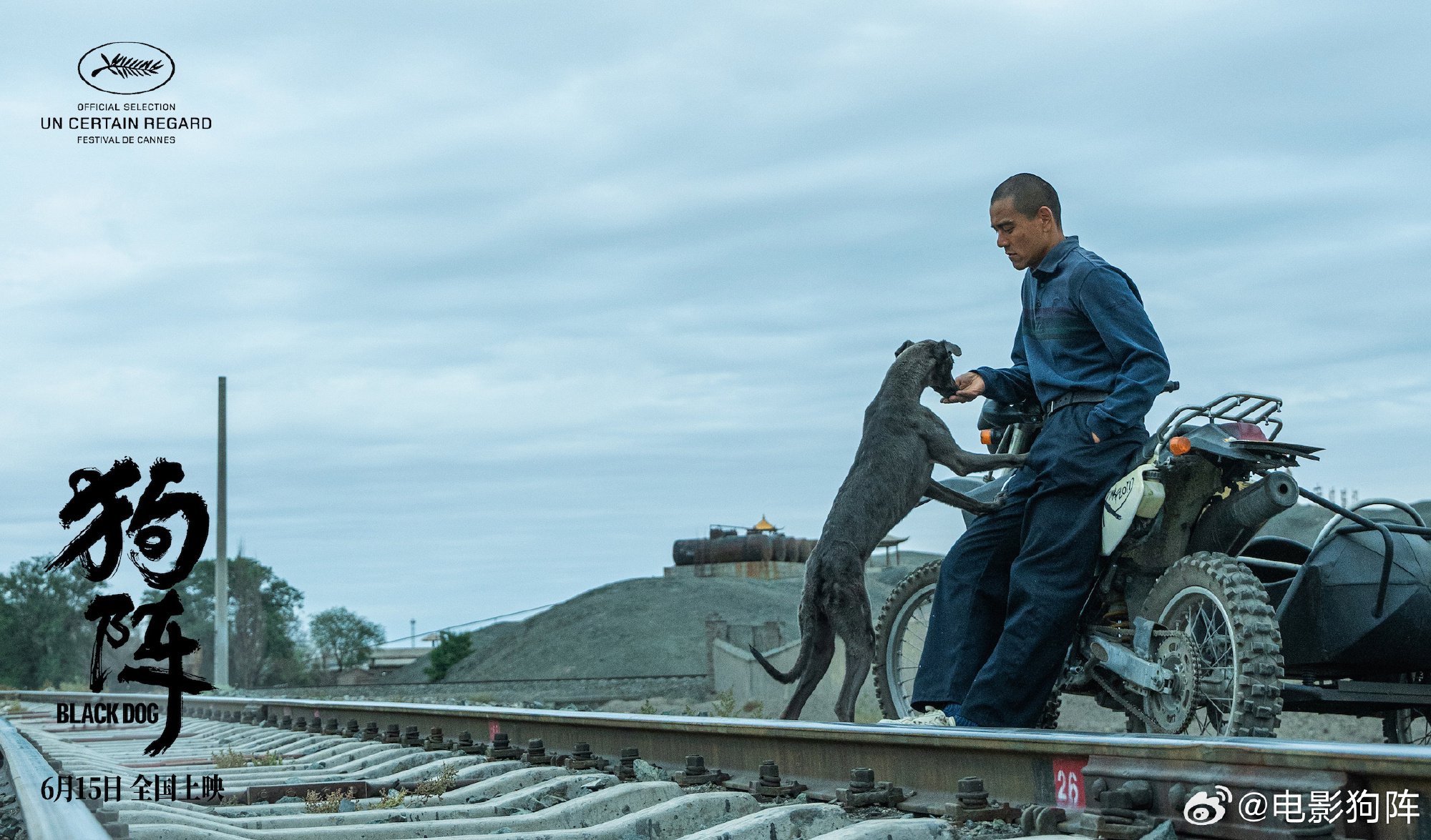 电影《狗阵》6月15日上映，彭于晏、佟丽娅领衔主演|狗阵|彭于晏|管虎_新浪新闻