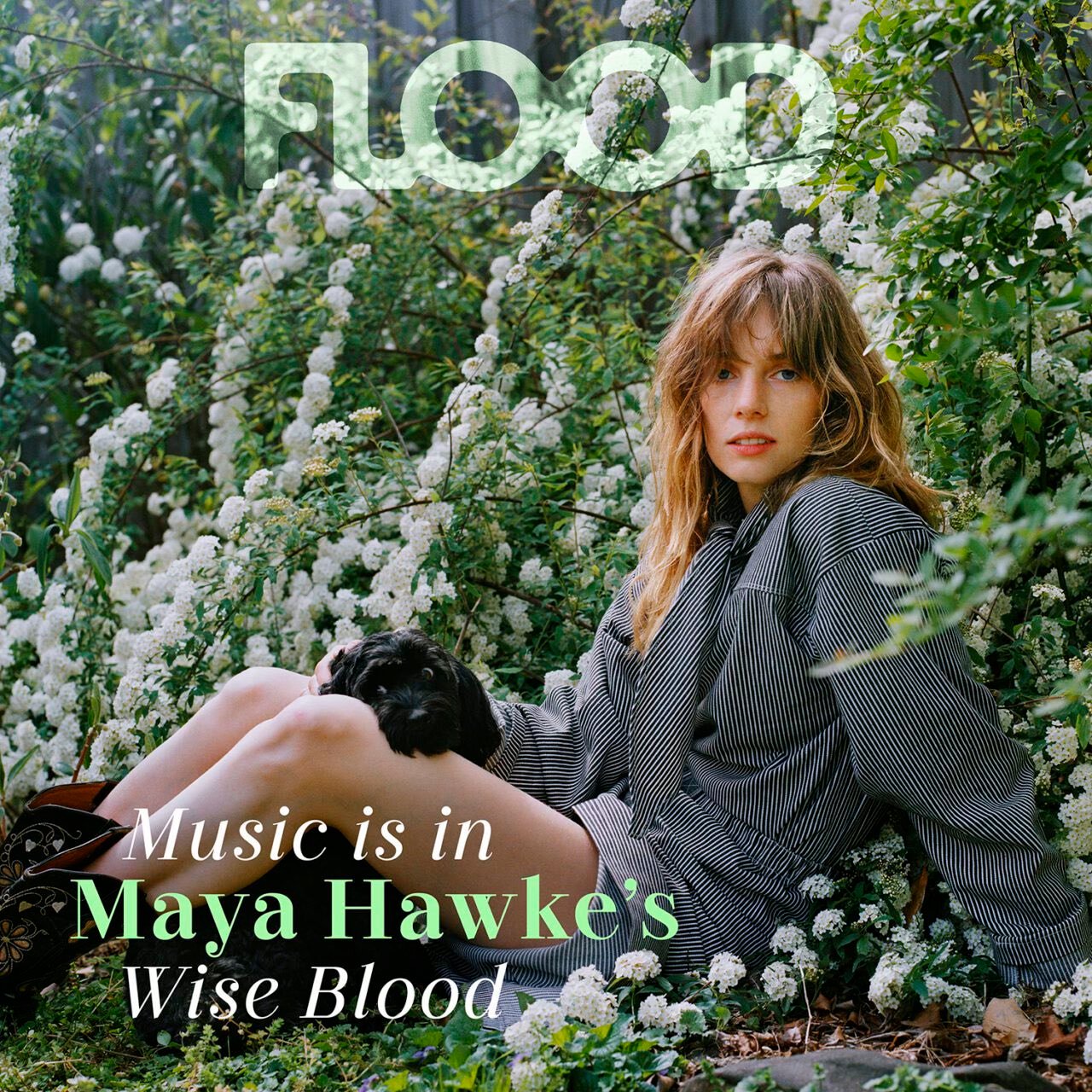 创作歌手/演员 maya hawke 为 FLOOD magazine拍摄写真 新专辑《Chaos Angel》|新专辑|Chaos ...