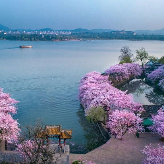 定了！超级环线高铁！|上海市|黄山市_新浪新闻