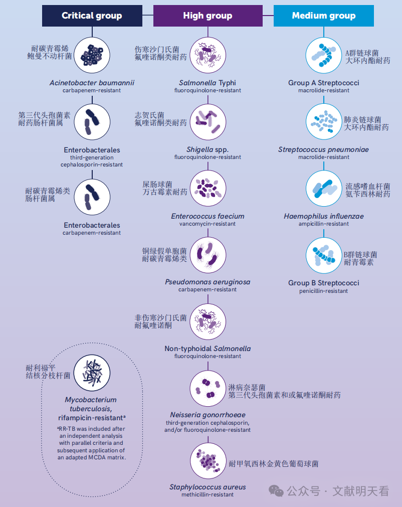【WHO】2024细菌优先病原体清单