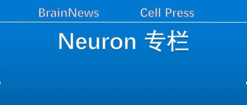 Neuron：解锁小胶质细胞的新功能！研究发现小胶质细胞或可预防与年龄相关的脑部病变|胶质|细胞|丘脑|小鼠|大脑_新浪新闻