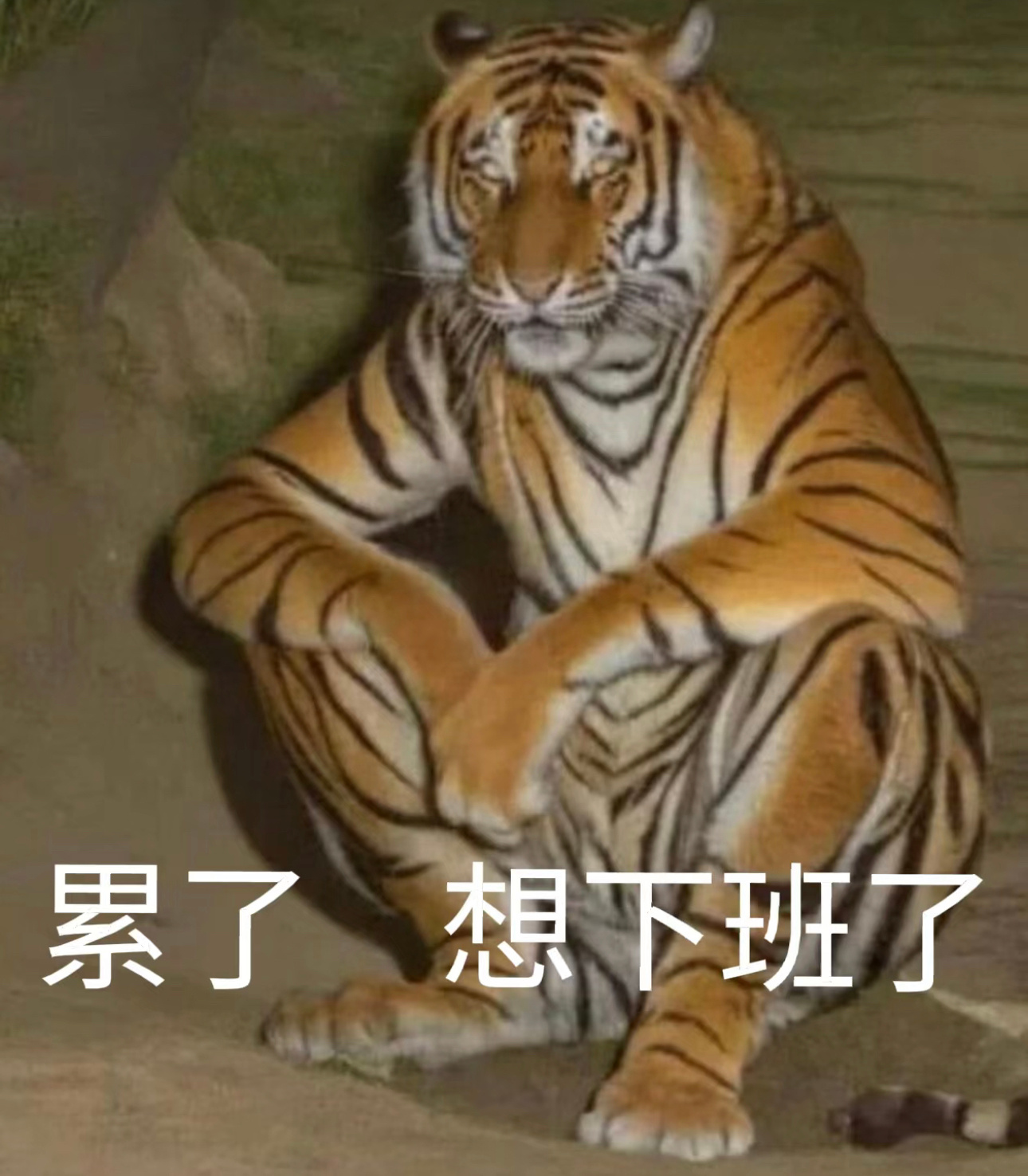 表情包又更新了 累了，想下班了 上班我只干三件事…|表情包|下班|上班_新浪新闻