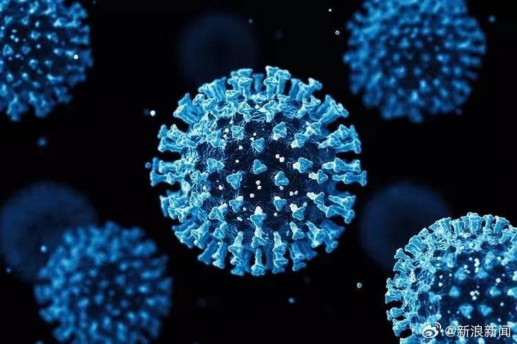 澳大利亚专家警告新冠病毒新变种FLuQE来袭|新冠肺炎_新浪新闻