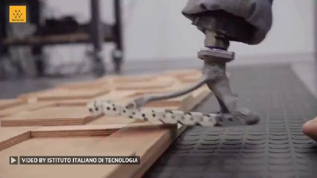 SoftFoot Pro 是一款无动力、灵活且防水的假脚，其灵感来自人体解剖学…|设计_新浪新闻