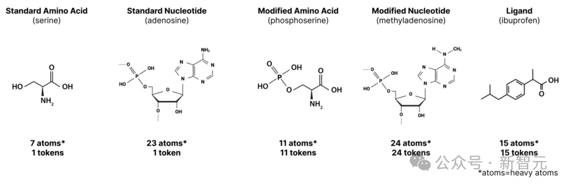 斯坦福博士图解AlphaFold 3：超多细节+可视化还原ML工程师眼中的AF3_创事记_新浪科技_新浪网