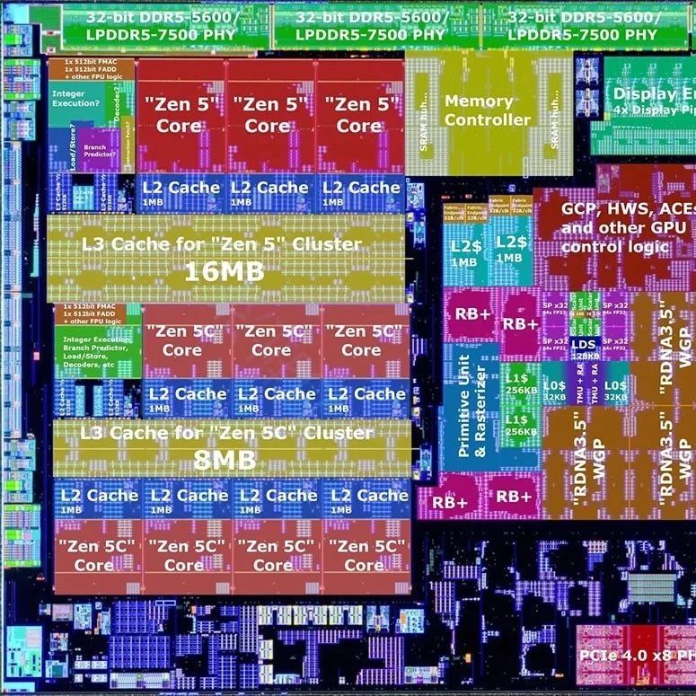 Strix Point核心照片流出：内含两组CCX，还有一个巨大的GPU与NPU|GPU_新浪新闻