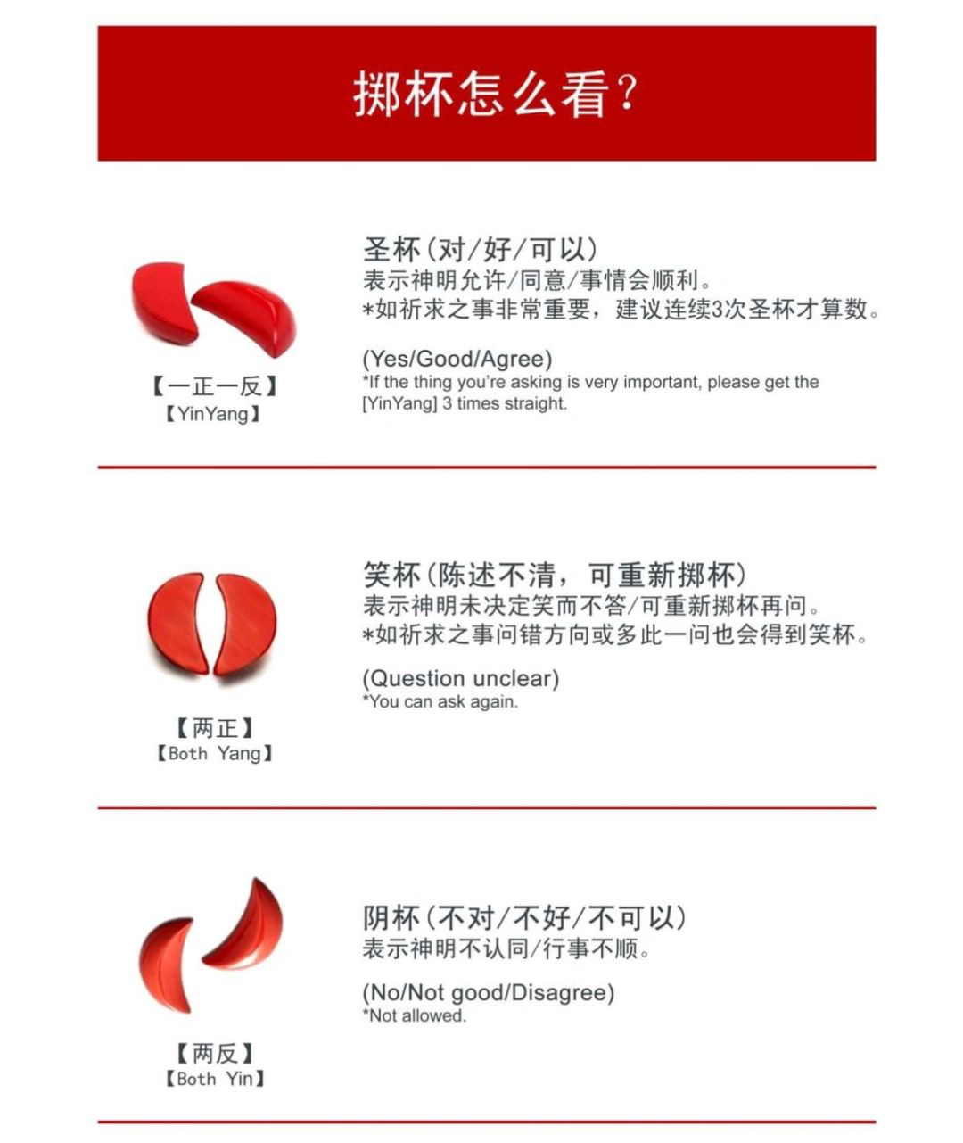 福建人遇事不决先掷圣杯|圣杯|福建人|蚌壳_新浪新闻