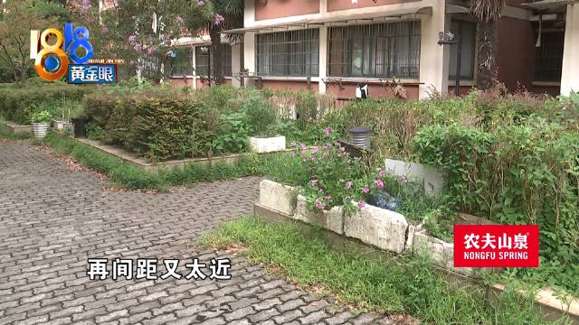 业主不满花坛改建充电桩物业也诉苦_新浪新闻