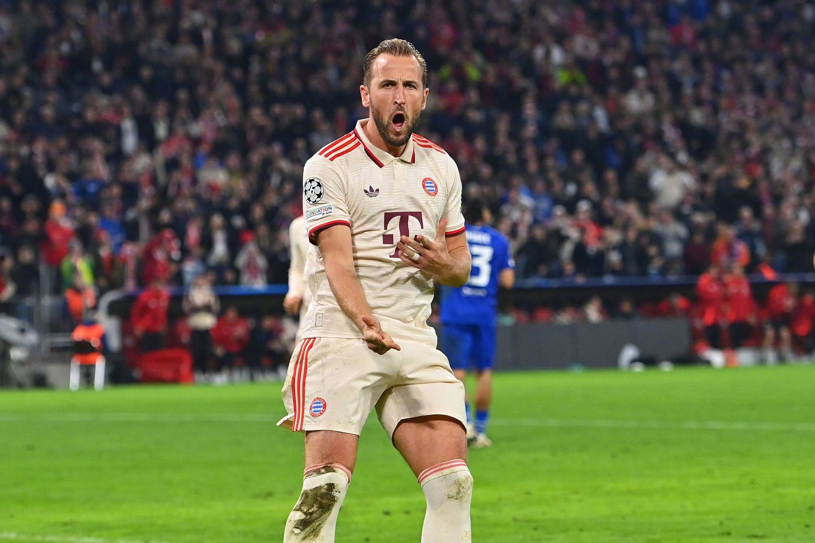 哈里·凯恩，欧冠第一英格兰射手！ 🐻凯恩上演大四喜！|哈里·凯恩|英格兰|欧冠_新浪新闻