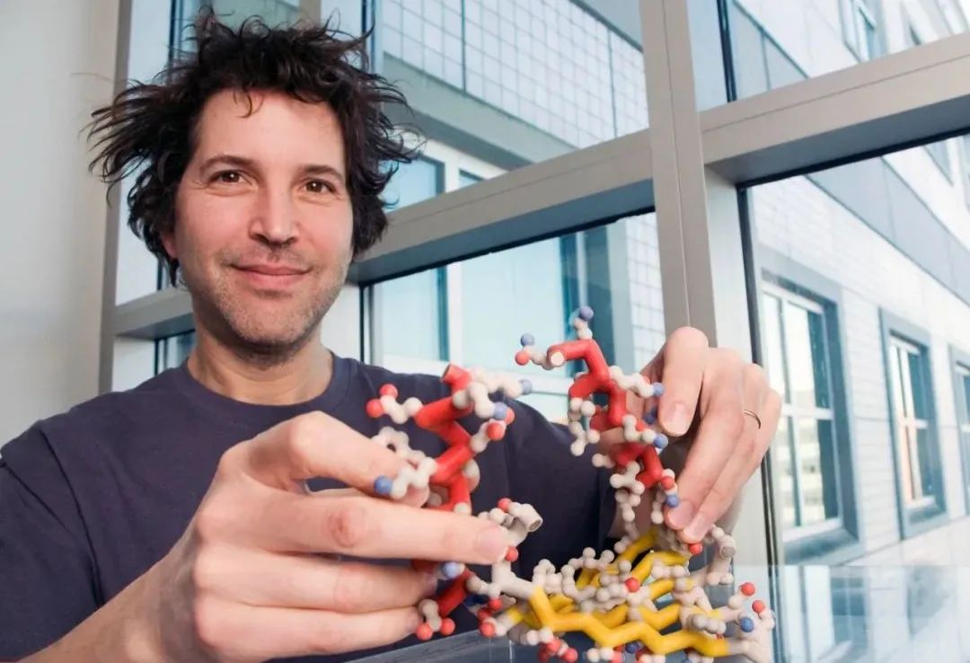 Science：David Baker团队从头设计出具有两种不同构象的铰链蛋白|电子_新浪新闻