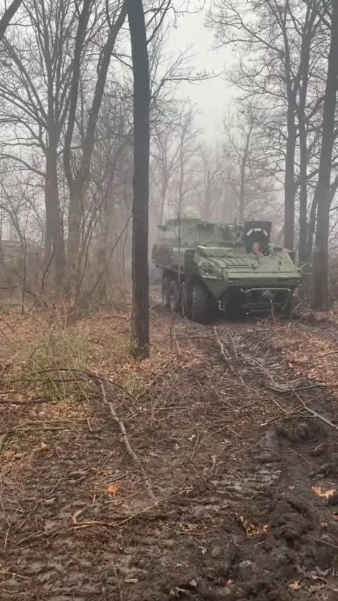 乌军的一辆少见的加拿大 LAV 6.0 ACSV 超级野牛装甲运兵车_新浪新闻