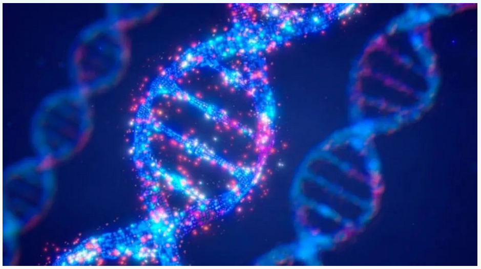 北京大学，最新Nature，DNA存储技术！|DNA|比特|北京大学_新浪新闻