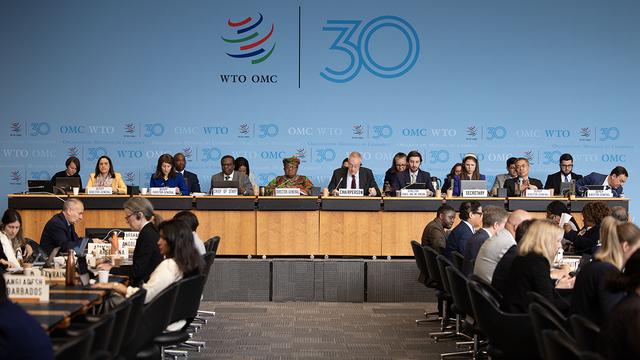 屠新泉：对WTO而言，现在更重要的是生存，毕竟他又回来了_新浪财经_新浪网