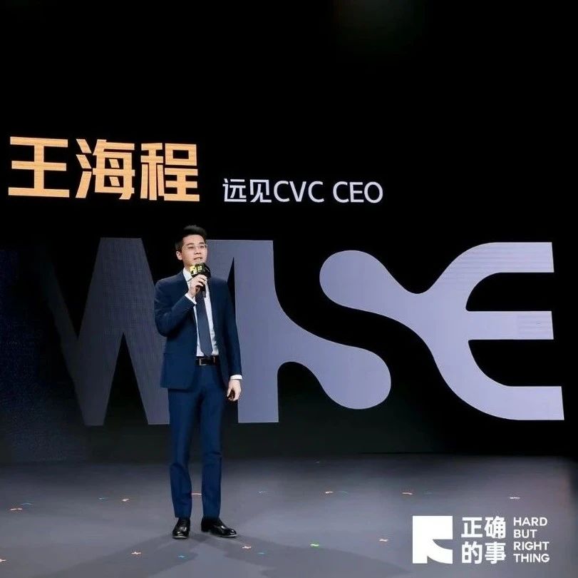 远见CVC王海程：新时代的咨询新命题，全球化、本地化与AI颠覆｜WISE2024商业之王大会|CVC|AI|浪潮_新浪新闻