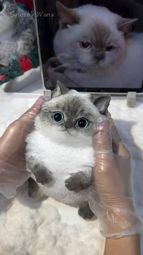 这也太好 rua 了！ squishy_wang_diy_shop_新浪新闻