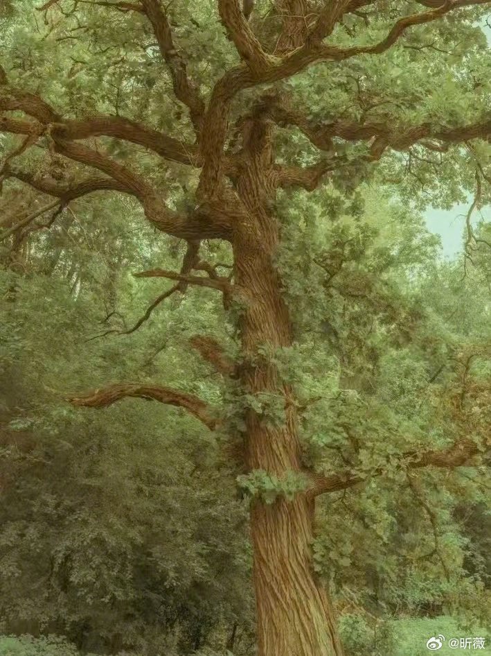 来自美国摄影师Summer Wagner的作品探讨了生活和精神边界…|摄影师|边界|精神_新浪新闻