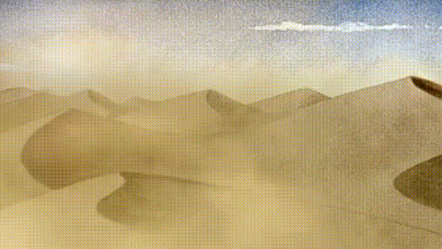 和易烊千玺、靳东、陈道明一起走进乌兰布和沙漠|沙漠|靳东|陈道明_新浪新闻