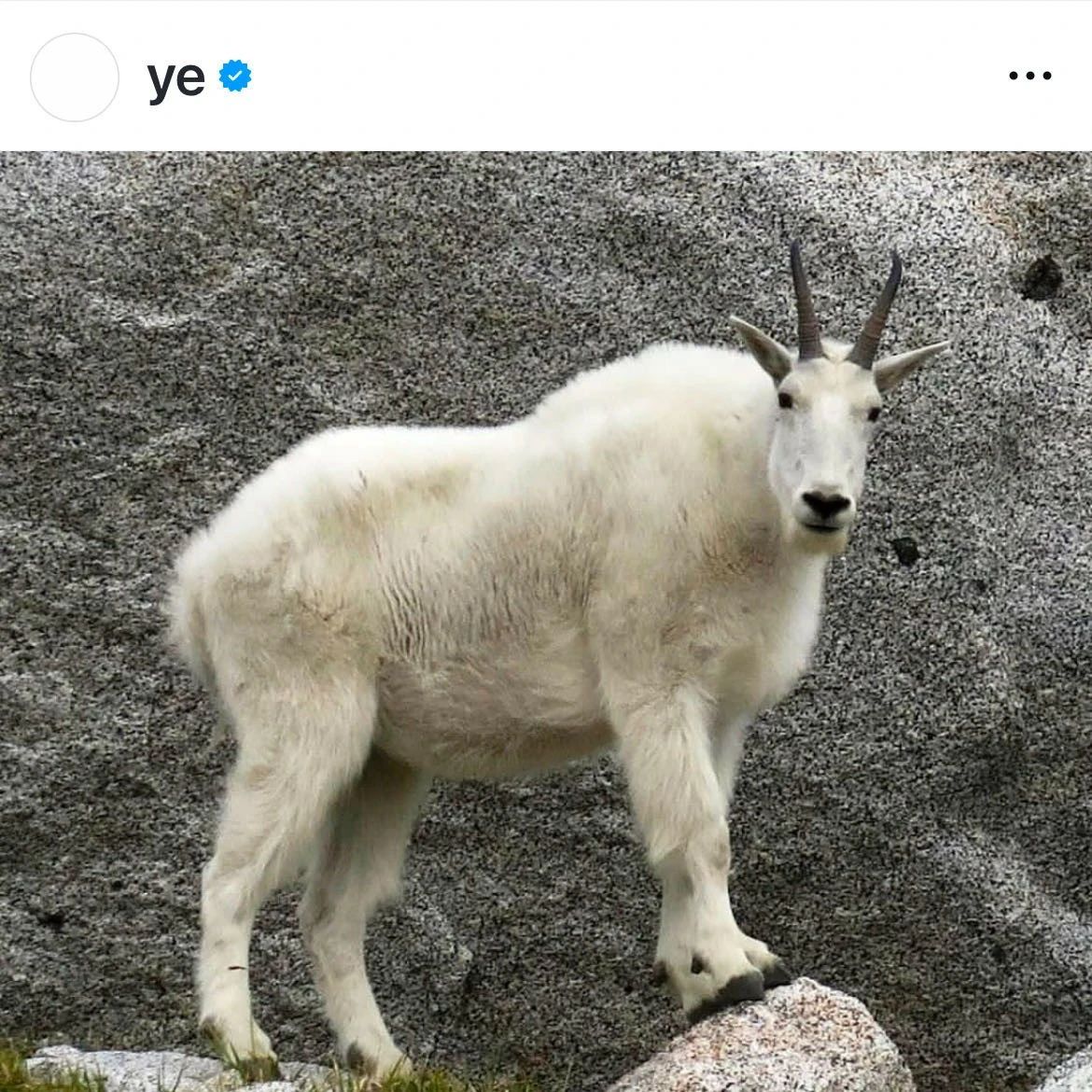 Kanye West宣布他是GOAT！|Kanye West_新浪新闻