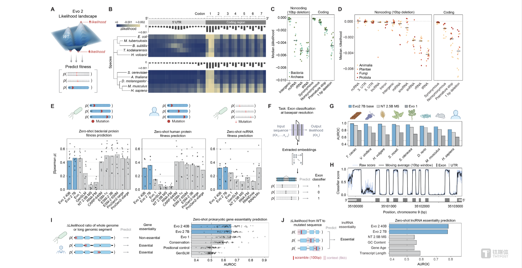Chinese and American Researchers Unveil Groundbreaking AI Biological ...