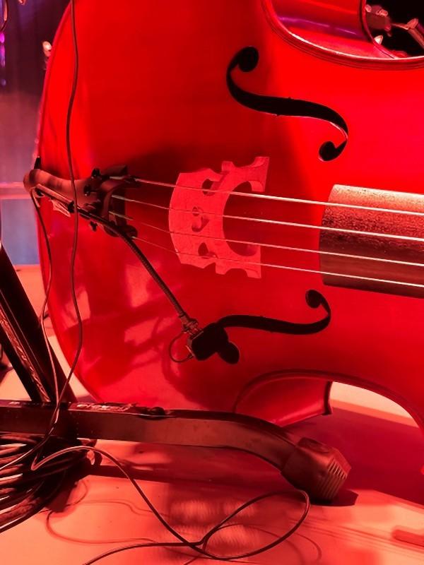 Neumann MCM微型夹式麦克风助力张惠妹aMEI ASMR MAX巡回演唱会|巡演_新浪财经_新浪网