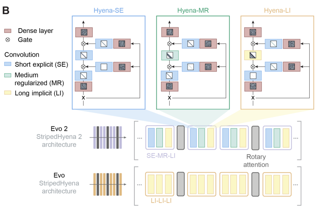 从0编写基因组！史上最大生物学模型Evo-2全面开源：硅基生命能创造细胞？_创事记_新浪科技_新浪网