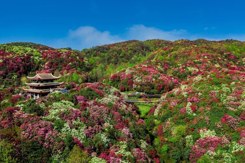 春游贵州，开启关于山水、人文、科技与人间烟火的多重想象|贵州省_新浪财经_新浪网