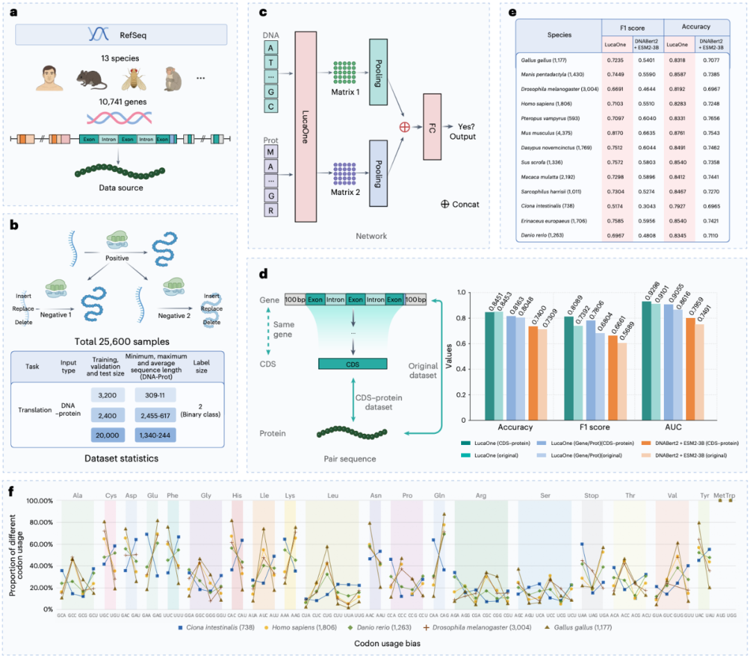 生物学的DeepSeek：阿里云发布LucaOne模型，首次统一DNA/RNA和蛋白质语言，能够理解中心法则