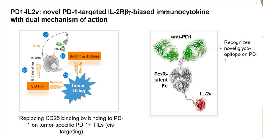 为什么是PD-1/IL-2？|癌细胞_新浪财经_新浪网