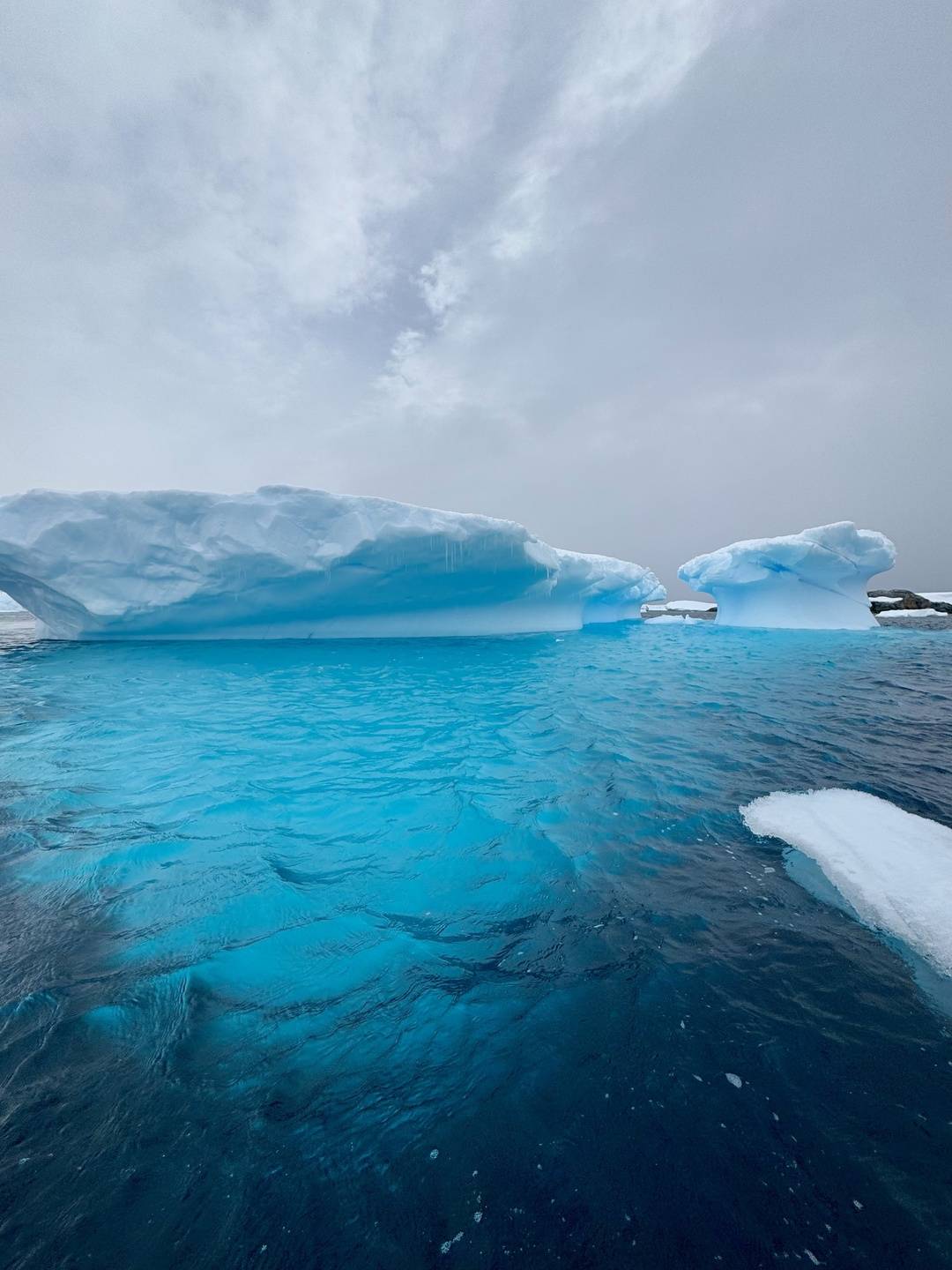 南极旅游价格被打下来了？亲历者分享5万元打卡攻略 业内：现在或是最佳“上船”机会|邮轮