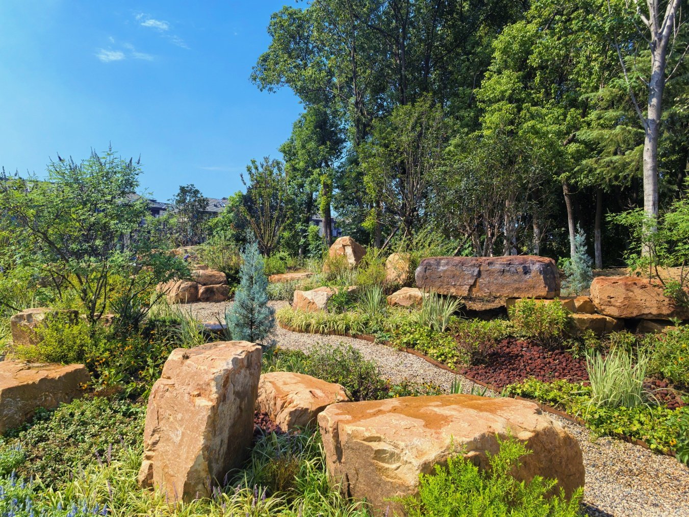 合肥高新区再添生态新景：望江西路枫林路交口焕新“锦绣花境”|唐茂菊|合肥市|安徽省|景观|秋色_新浪新闻