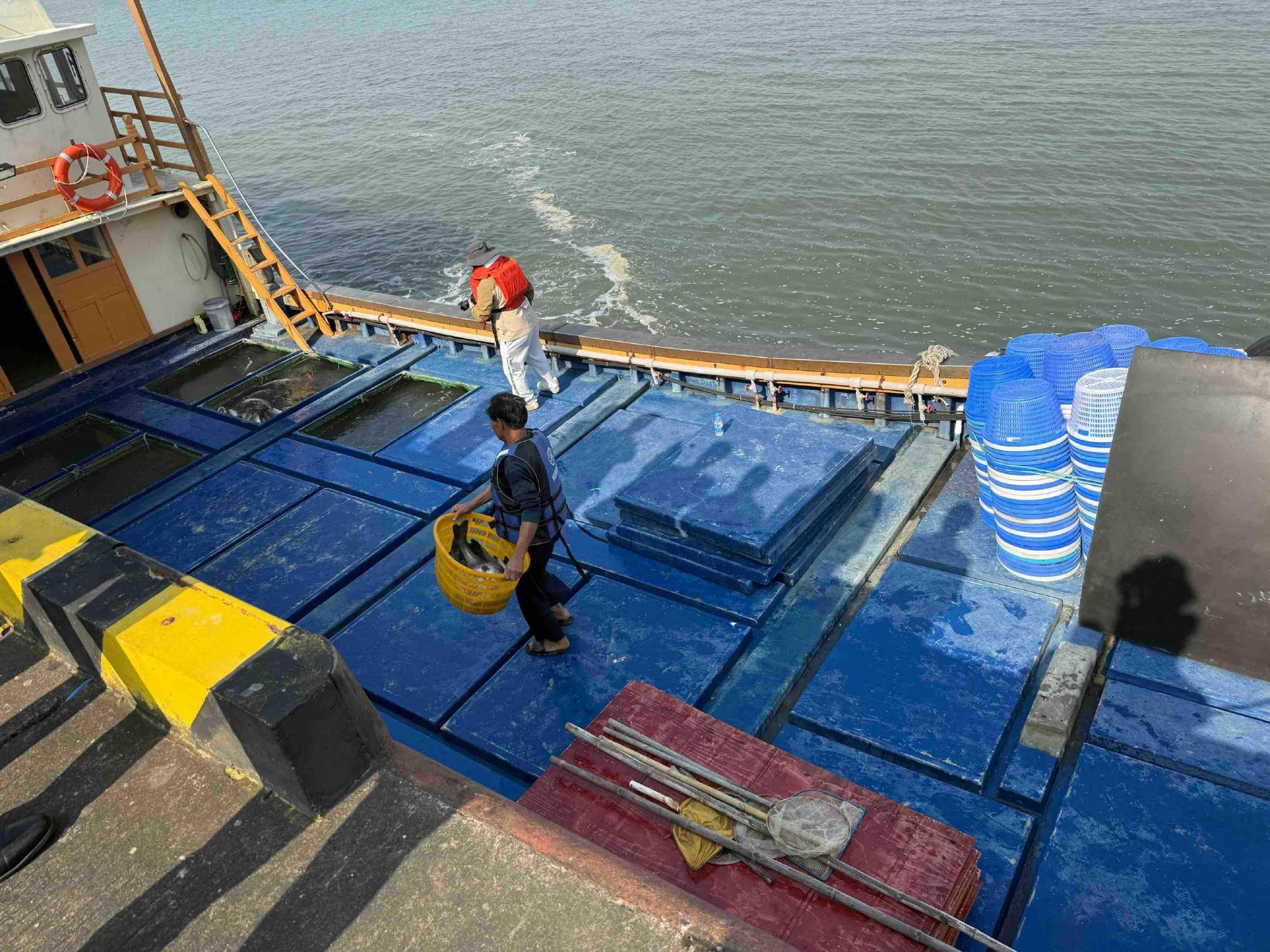 以标准为桨，向深蓝启航！珠海白蕉海鲈“陆海接力”，破题高质量养殖 | 珠海观潮|珠海市|渔业