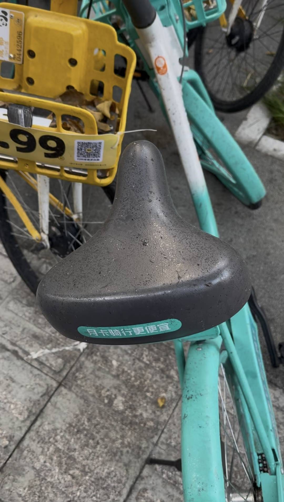 冬日“黏雨”谁在恶作剧？ 专家：成都连日晴天让蚜虫“凌乱”了|蚜虫|成都市|专家