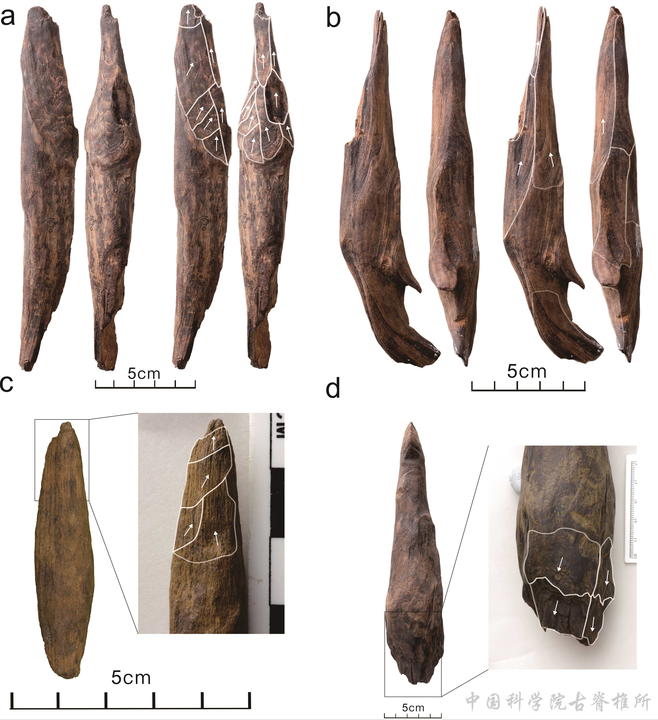 哲学三大问题之“我们从哪里来”，有了新答案！|古人类_新浪财经_新浪网