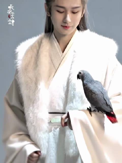 长安二十四计回应成毅：此局落定，初心如磐|谢淮安|淮南|常安|虎贲|好风景_新浪新闻