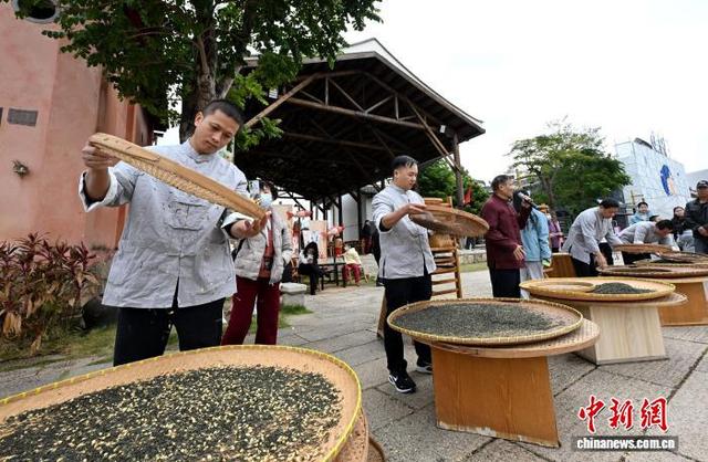 福州：百人共品茉莉香|福州市_新浪财经_新浪网